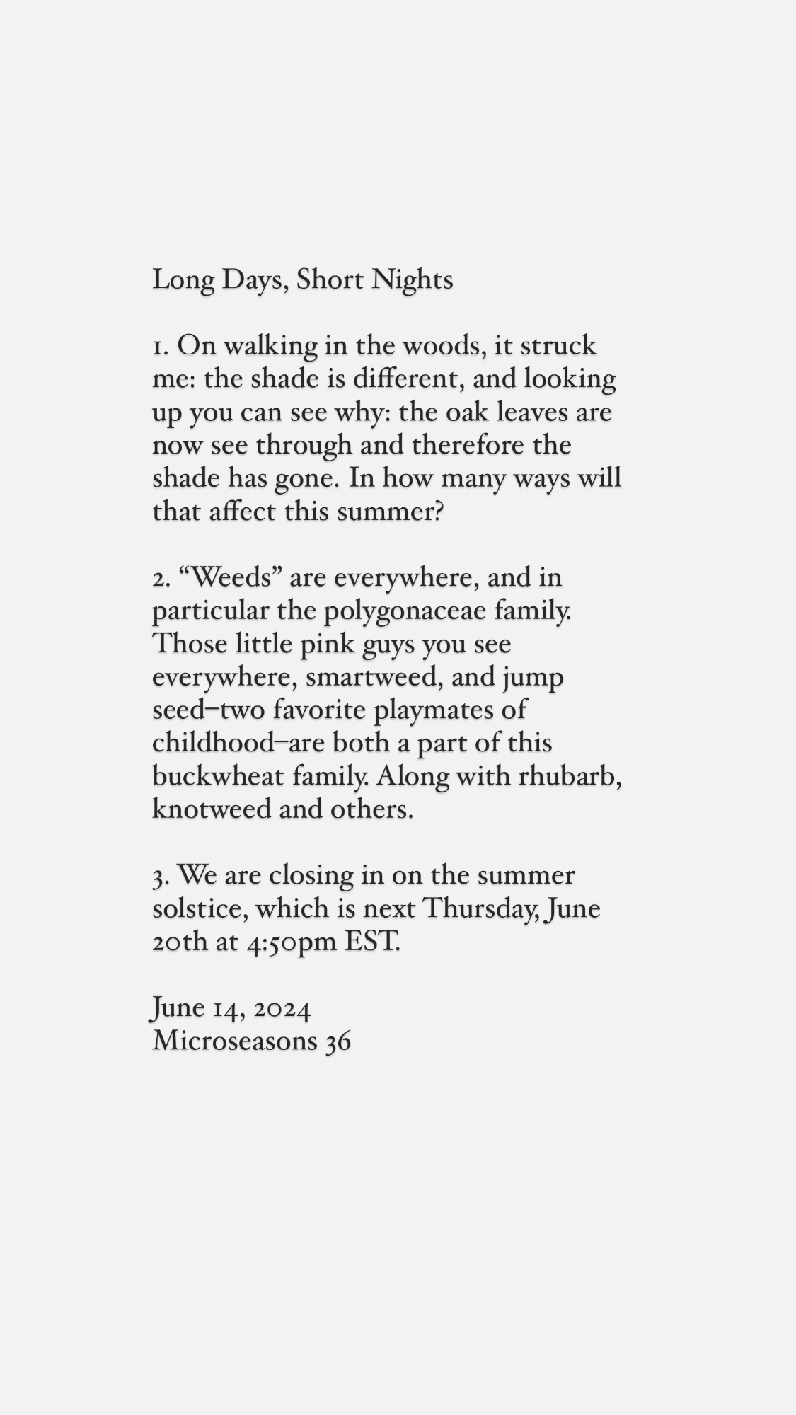 Long Days, Short Nights – Julia Sforza